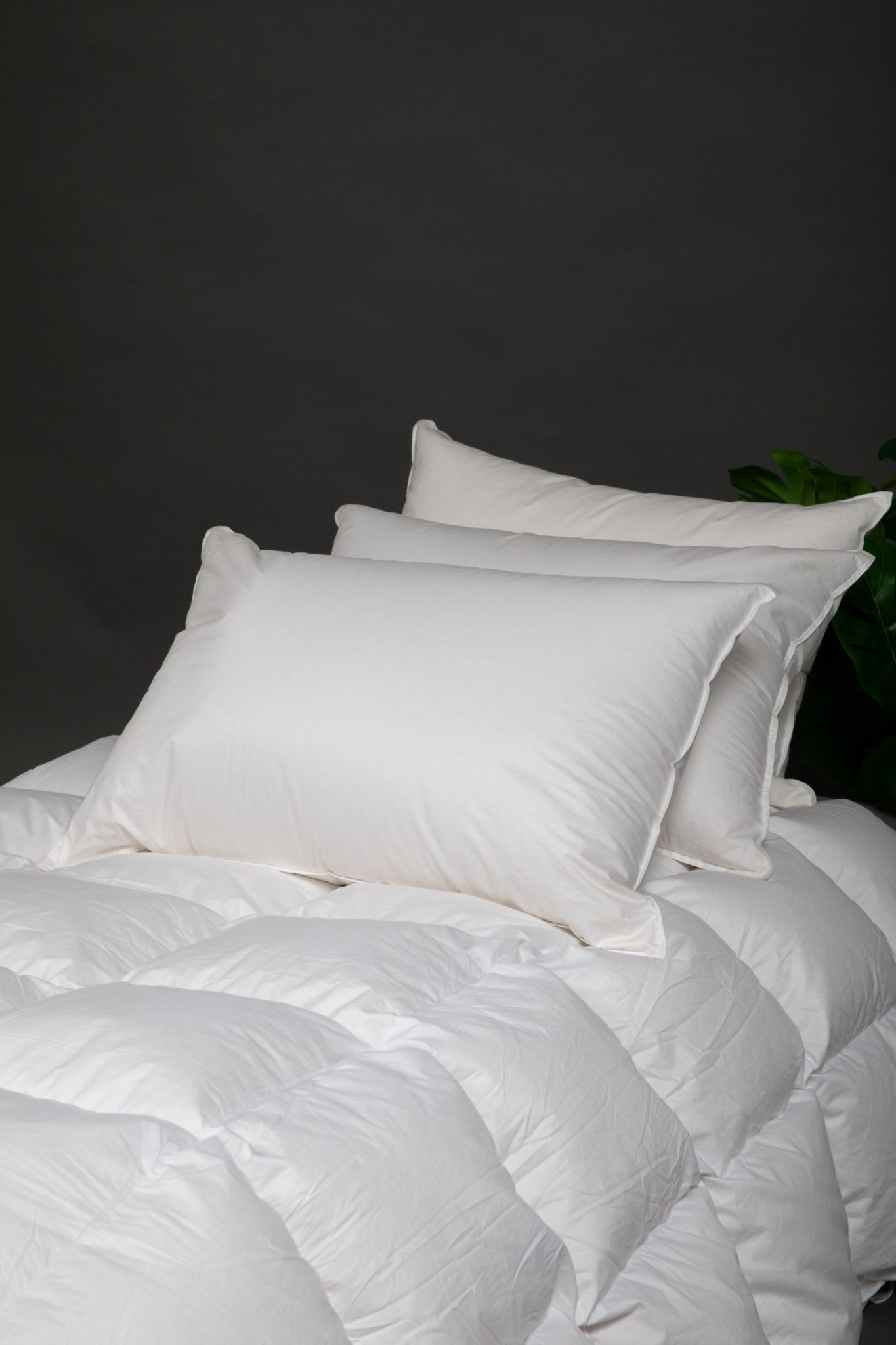 Lín Design dúnsæng – 100% RDS og Oeko-Tex vottuð andadúnssæng – Val um ...